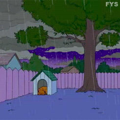 Download The Simpsons TV Show PFP