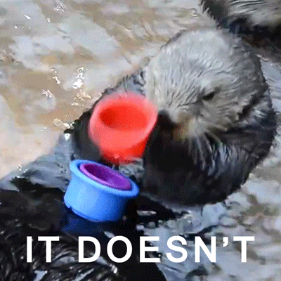Download Otter Animal PFP