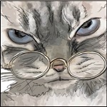 Download Grey Drawing Glasses Cat Animal PFP