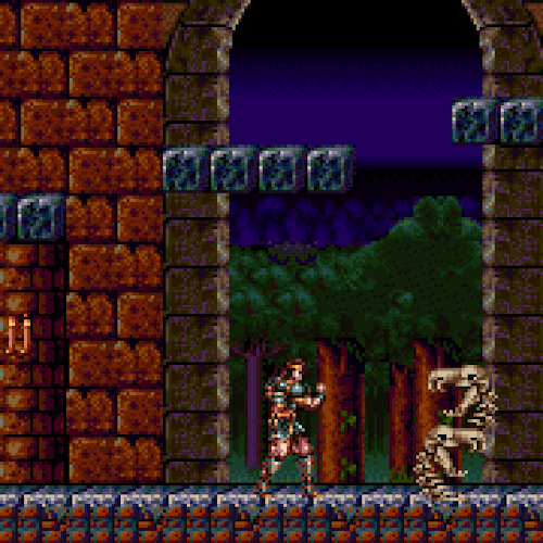 Super Castlevania IV PFP