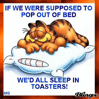 Garfield pfp - Avatar Abyss