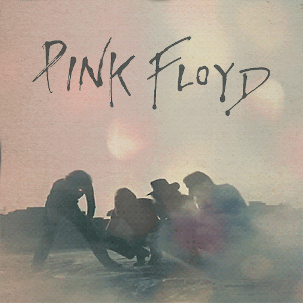 Pink Floyd Pfp
