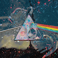 Pink Floyd Pfp