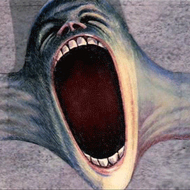 Download Hard Rock Classic Rock Pink Floyd Music PFP