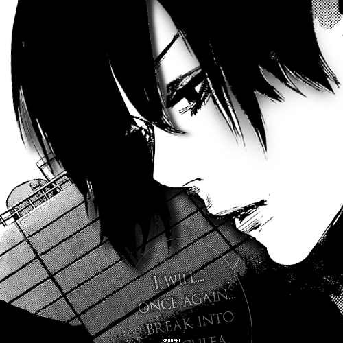 Download Tokyo Ghoul Anime PFP