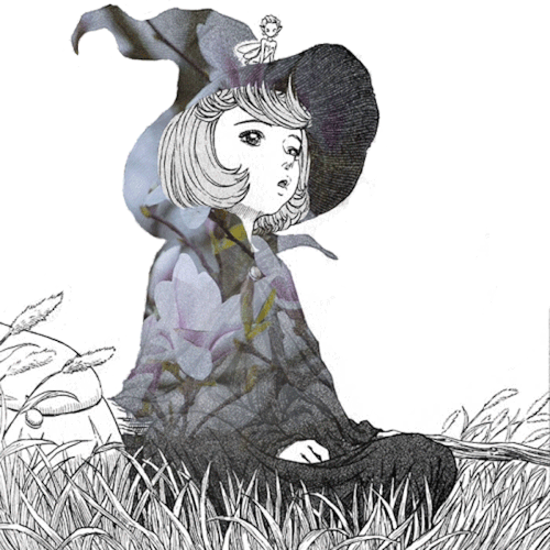 Schierke (Berserk) PFP