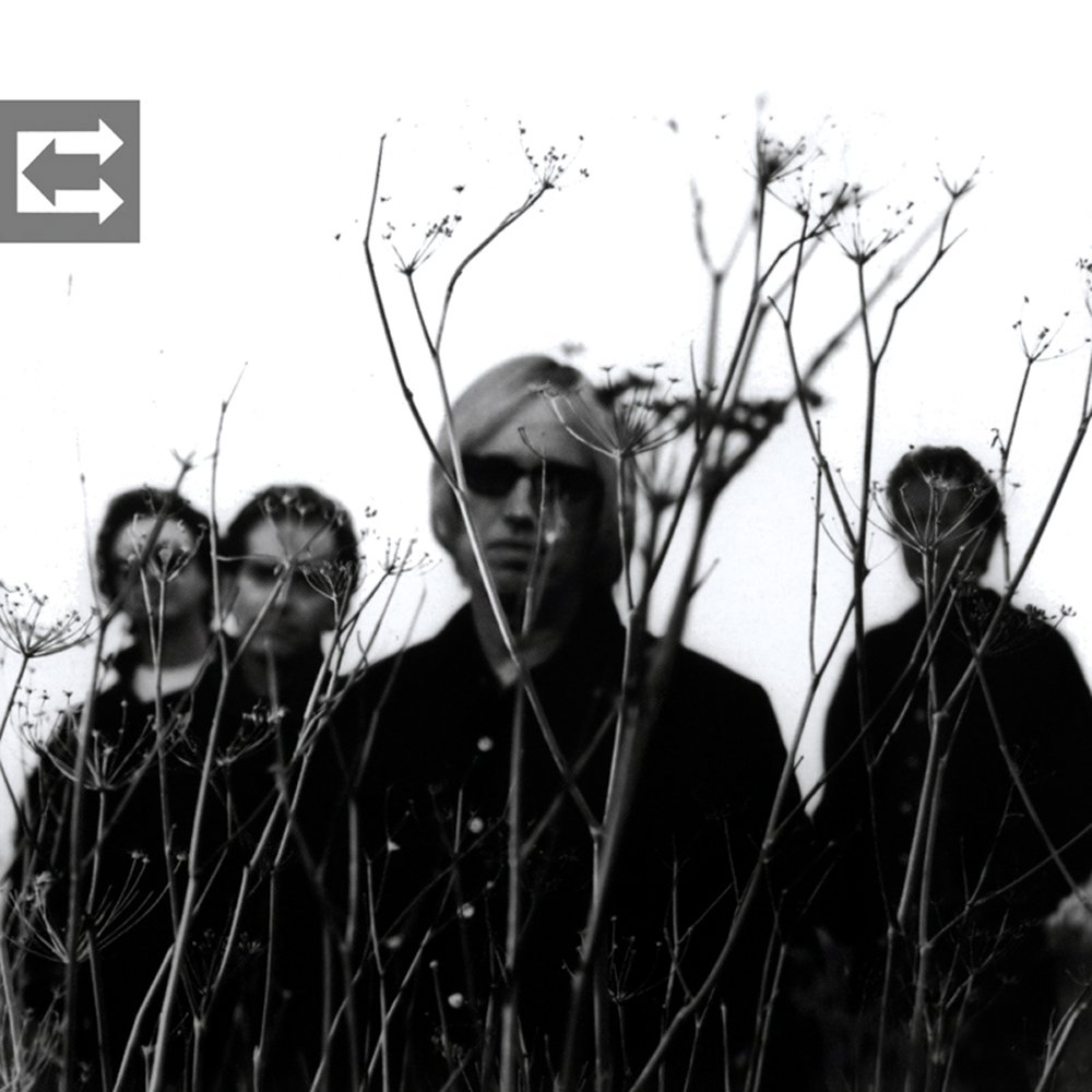 Download Rock & Roll Classic Rock Tom Petty Tom Petty And The ...