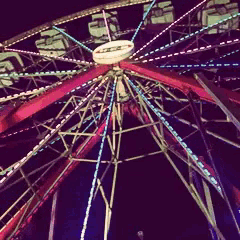 Download Amusement Park Ferris Wheel Man Made PFP