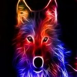 Download Animal Wolf PFP