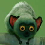 Download Fantasy Animal Fantasy Animal PFP