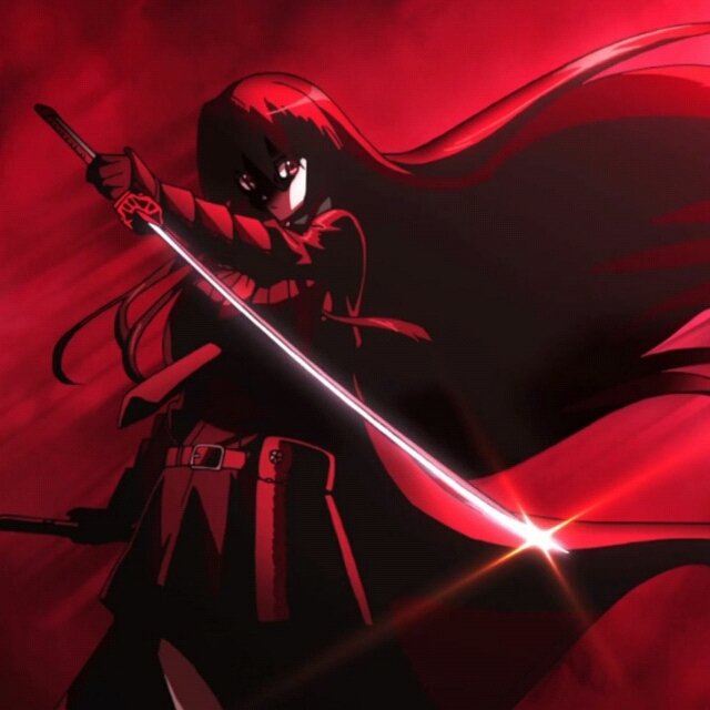 Download Anime Akame Ga Kill! PFP