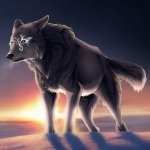 Download Wolf Animal Artistic PFP - Avatar Abyss