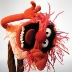The Muppets (TV Show) PFP