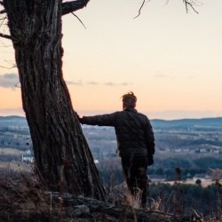 Download Alone Tree Man PFP