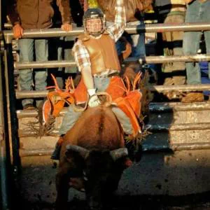 Bullriding - Desktop Wallpapers, Phone Wallpaper, PFP, Gifs, and More!