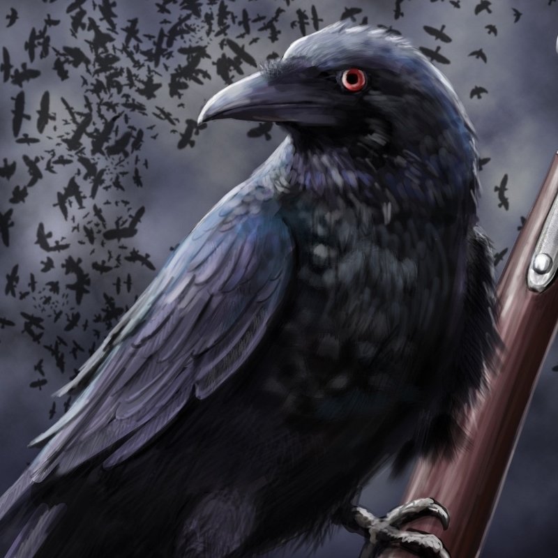 Download Raven Fantasy Bird PFP