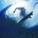 Surfing Pfp