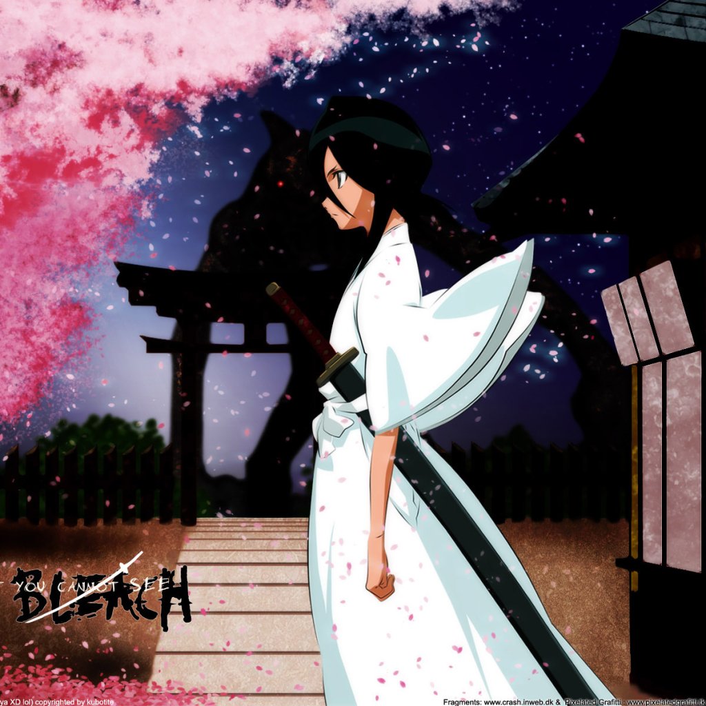 Download Rukia Kuchiki Anime Bleach PFP