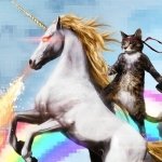 Download Funny Internet PFP