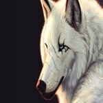Download Animal Wolf PFP