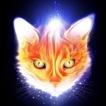 Download Abstract PFP