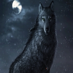 Download Animal Wolf PFP