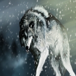 Download Animal Wolf PFP