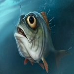 Download Animal Fish PFP