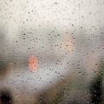 Download Photography Raindrops PFP