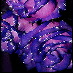 Download Nature Rose PFP