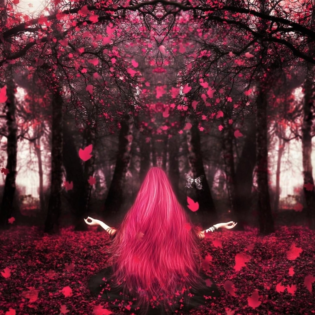 Download Pink Leaf Forest Fall Woman Artistic PFP