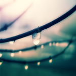 Download Nature Water Drop PFP