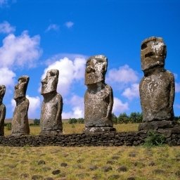 Easter Island PFP