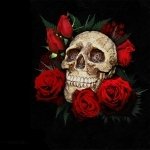 Download Dark Skull PFP