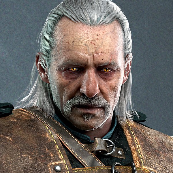 Download Vesemir (The Witcher) The Witcher 3: Wild Hunt Video Game PFP