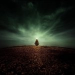 Download Nature Tree PFP