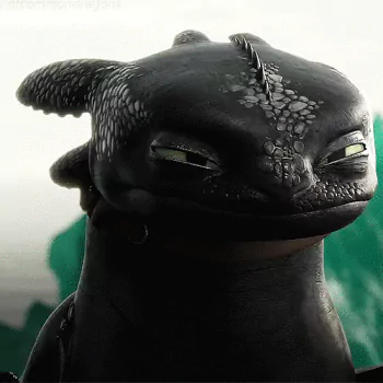 [10+] Toothless (How To Train Your Dragon) PFP