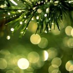 Download Photography Nature PFP