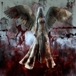 Download Fantasy Angel PFP