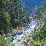Download Nature River PFP