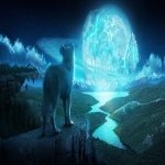 Download Animal Wolf PFP