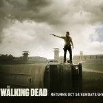Download TV Show The Walking Dead PFP