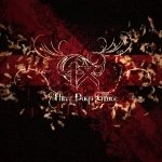 Three Days Grace PFP