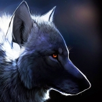 Wolf Pfp