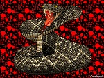 Download Animal Snake PFP by GREENFROGGY1