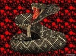 Download Animal Snake PFP by GREENFROGGY1