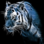 Download Animal Tiger PFP
