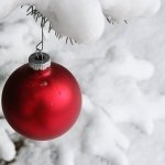Download Holiday Christmas PFP