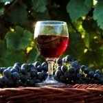 Download Food Wine PFP