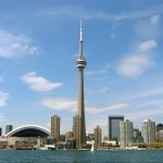 Download Man Made Toronto PFP